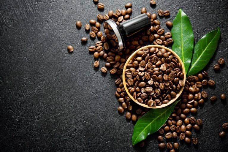 Aprenda como ter uma muda de café - Blog Bicafé Brasil
